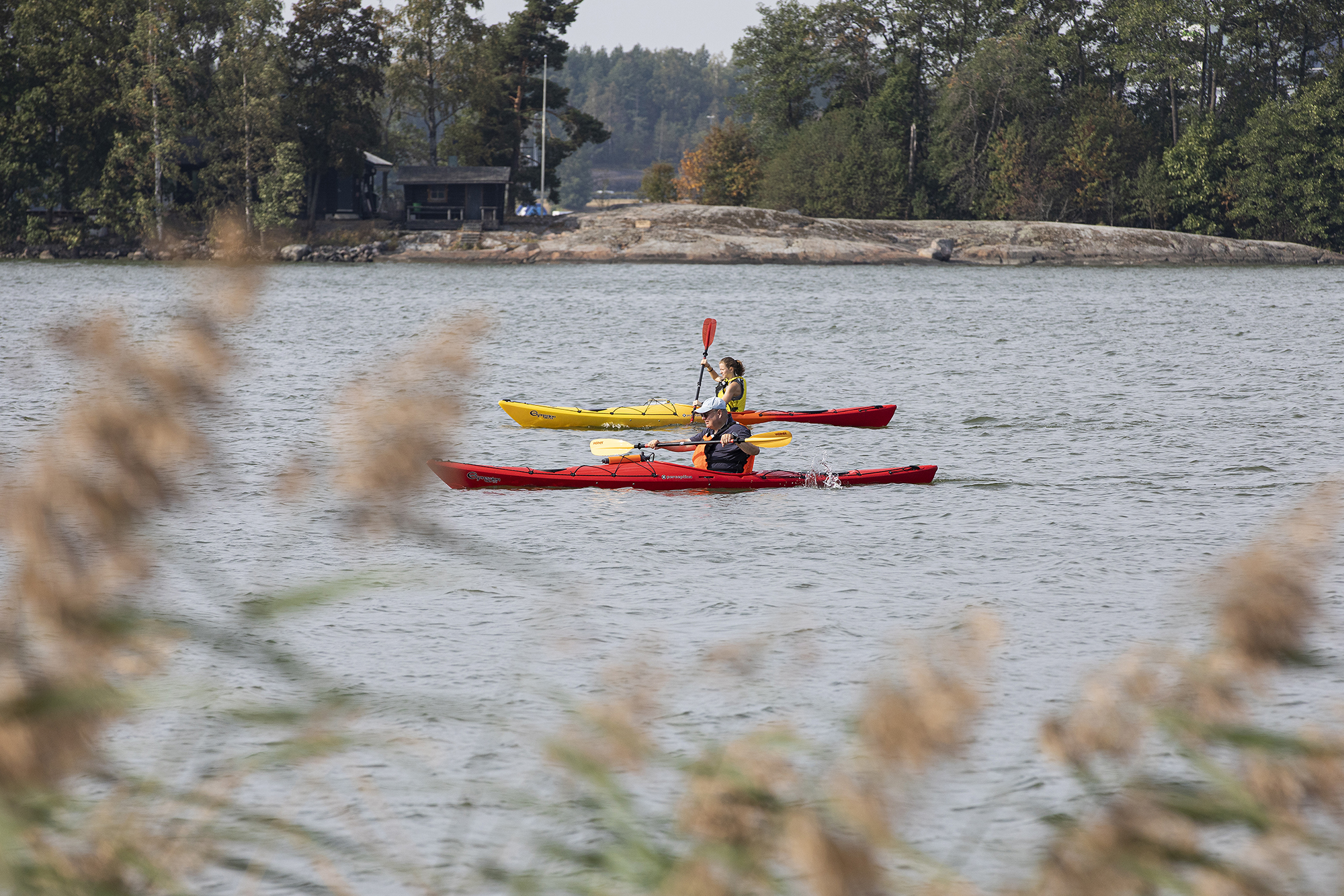 Lehtisaari on meren ympäröimä idylli: ”Parasta on luonto ja mukavat ...